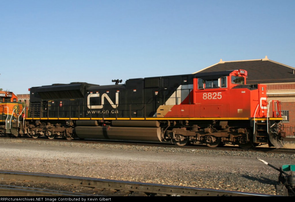 CN 8825
